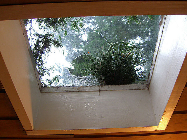 A Smashing Example of a Skylight Leak